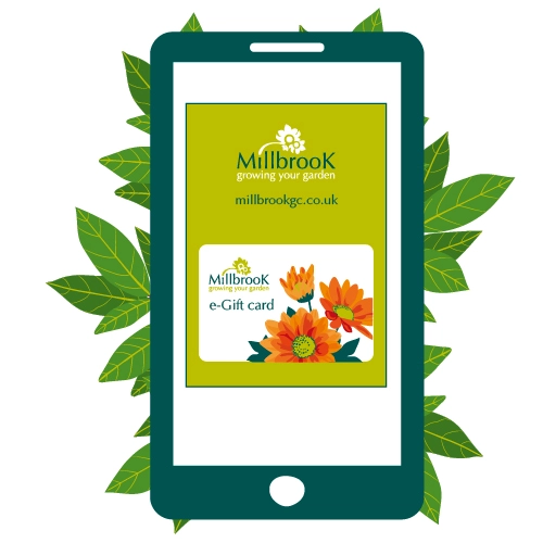 Millbrook Electronic Gift Card (e-Gift Card) - Millbrook Garden Centre