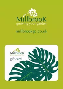 Millbrook Gift Card - Green - Millbrook Garden Centre