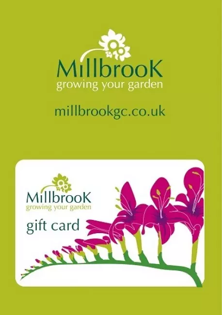 Millbrook Gift Card - Pink - Millbrook Garden Centre